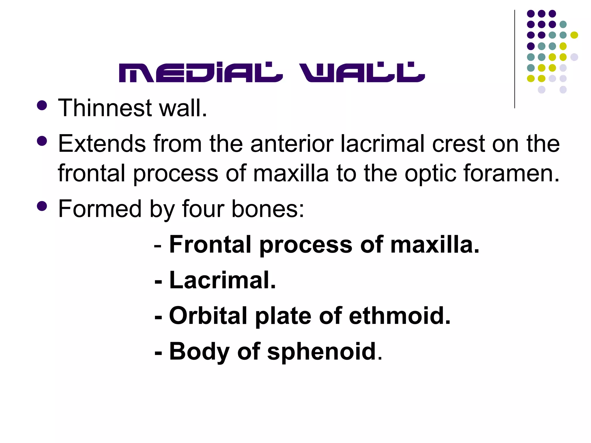 Bony Orbit Eyeball Ppt Ppt