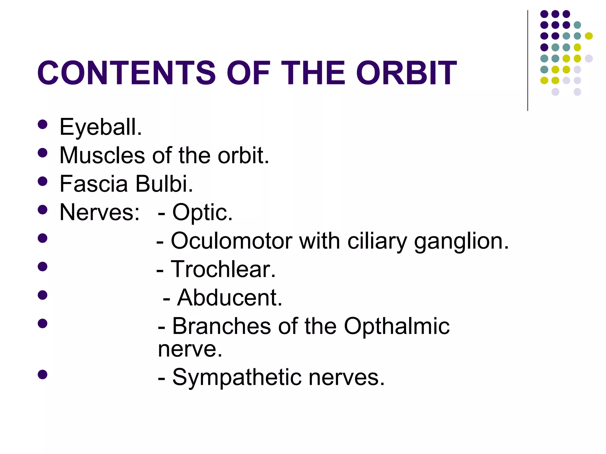 Bony Orbit Eyeball Ppt Ppt