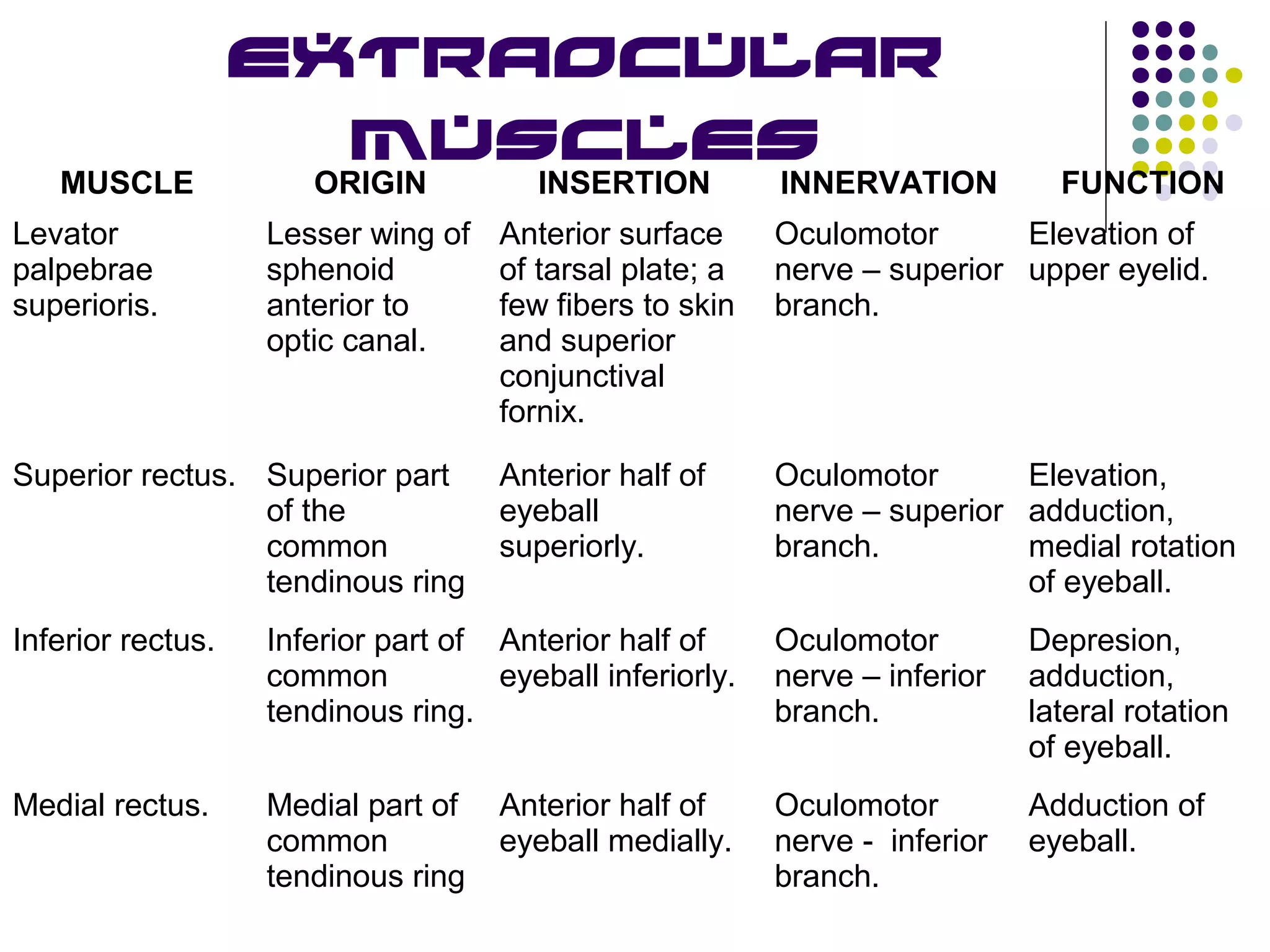 Bony Orbit Eyeball Ppt Ppt