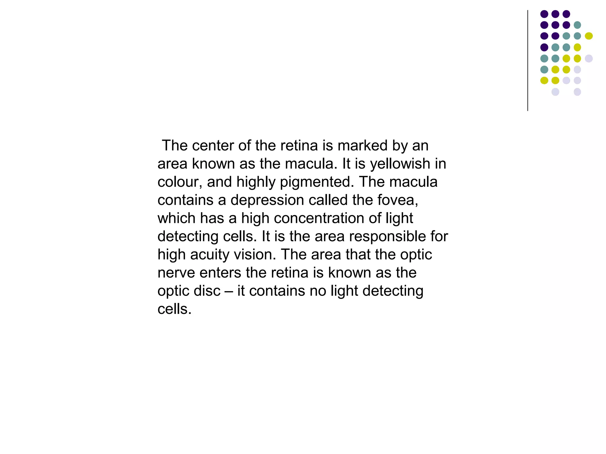 Bony Orbit Eyeball Ppt Ppt