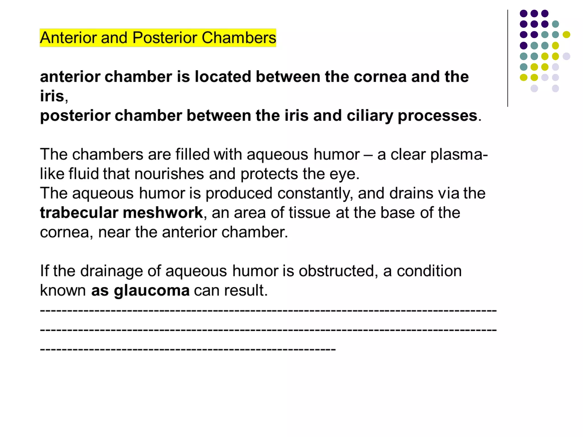 Bony Orbit Eyeball Ppt Ppt