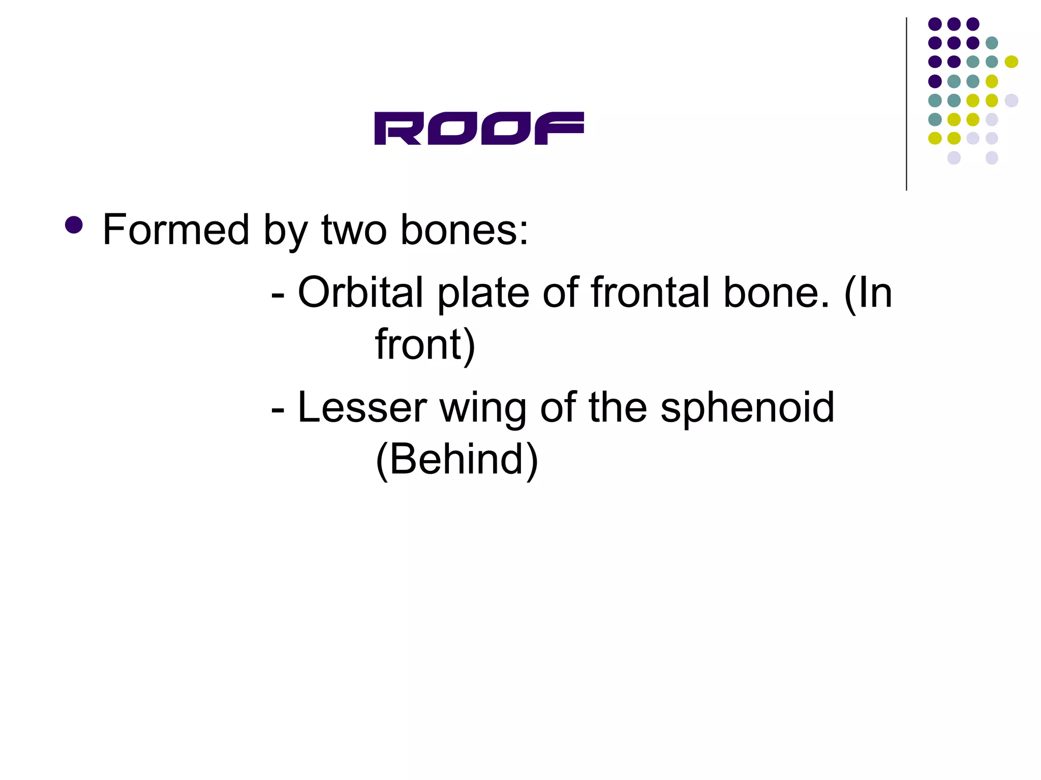 Bony Orbit Eyeball Ppt Ppt