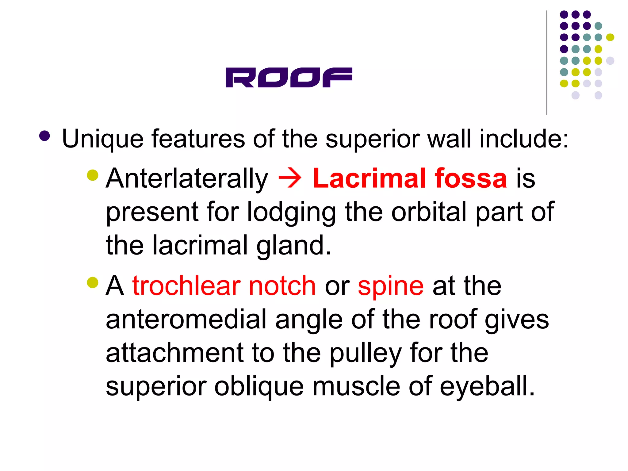 Bony Orbit Eyeball Ppt Ppt