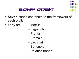 Bony Orbit_ eyeball ppt | PPT