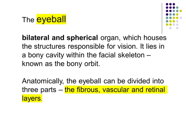 Bony Orbit_ eyeball ppt | PPT