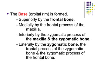 Bony Orbit_ eyeball ppt | PPT