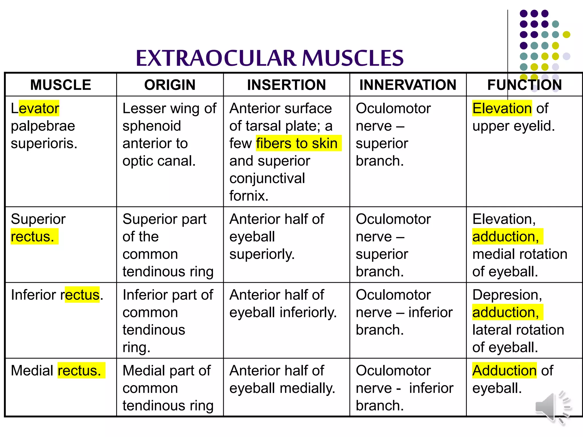 Bony Orbit and extra ocular muscles ppt | PPT