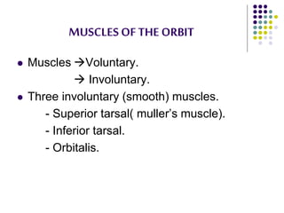 Bony Orbit and extra ocular muscles ppt | PPT