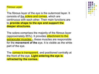 Bony Orbit and extra ocular muscles ppt | PPT
