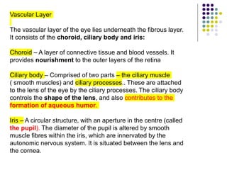 Bony Orbit and extra ocular muscles ppt | PPT