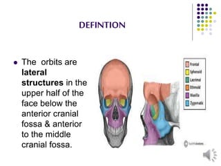 Bony Orbit and extra ocular muscles ppt | PPT