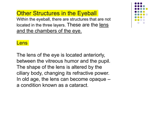 Bony Orbit and extra ocular muscles ppt | PPT