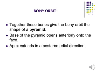 Bony Orbit and extra ocular muscles ppt | PPT