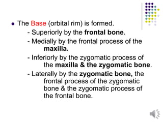 Bony Orbit and extra ocular muscles ppt | PPT