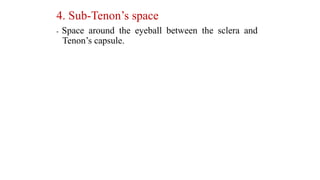 anatomy of orbital spaces, tumours and its importance | PDF
