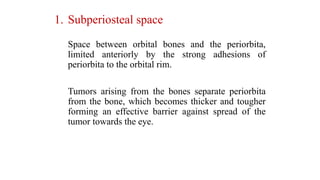 anatomy of orbital spaces, tumours and its importance | PDF