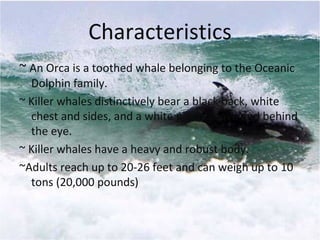 Orca s | PPT