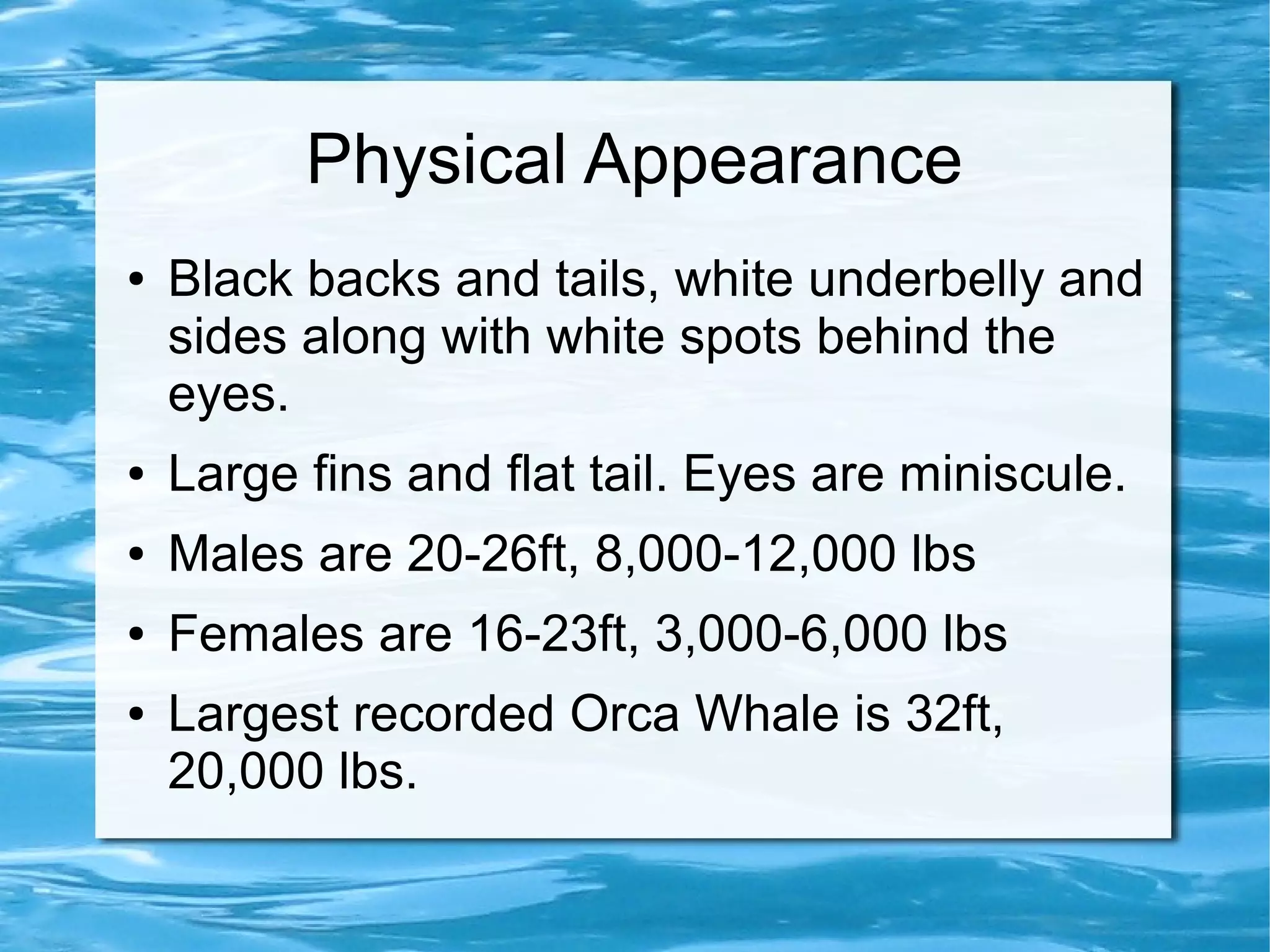 Orcas | ODP