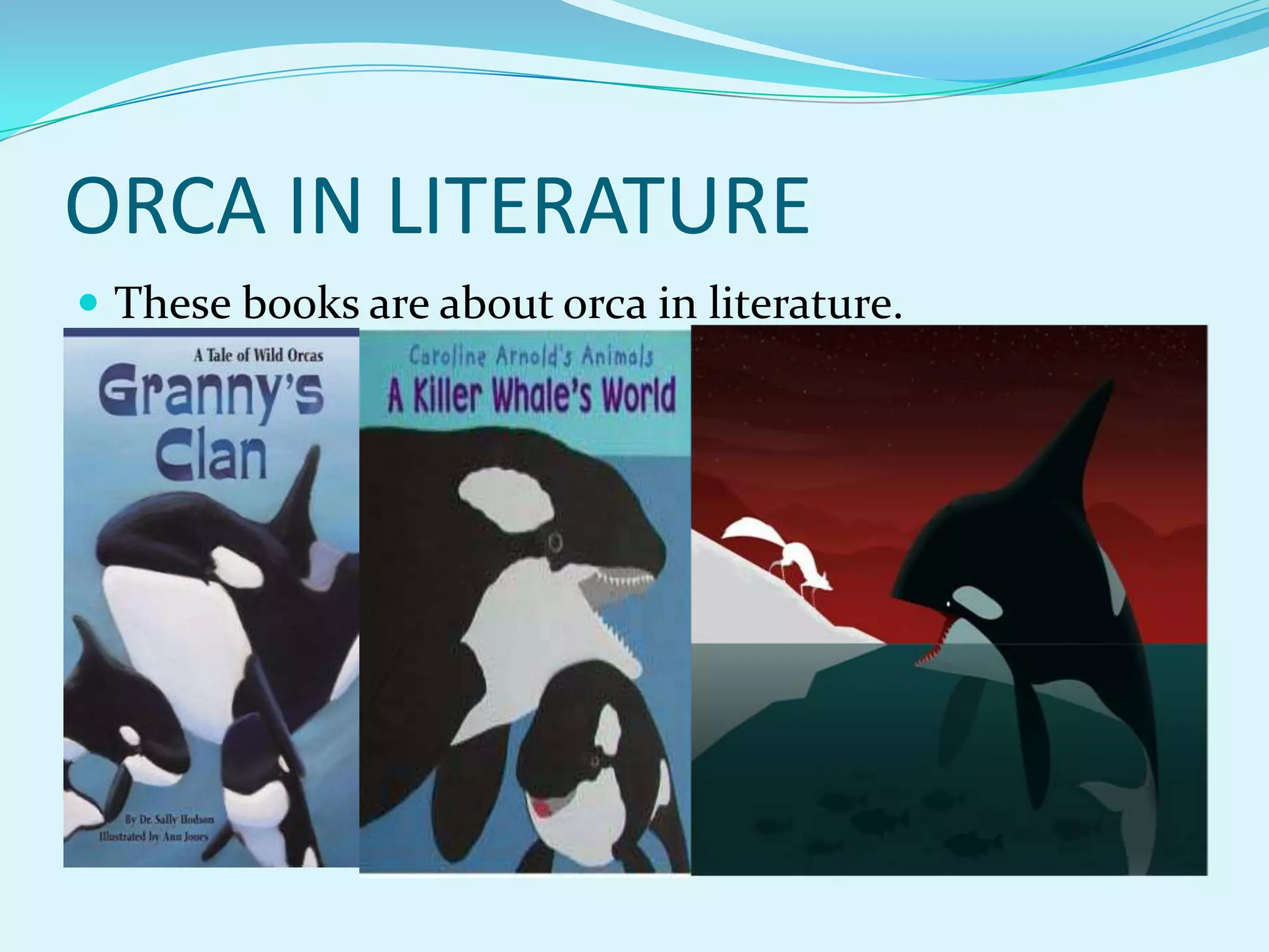 Orcas by alan c. | PPT