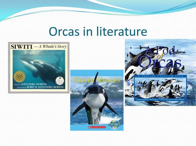 Orcas by Annette E. | PPT