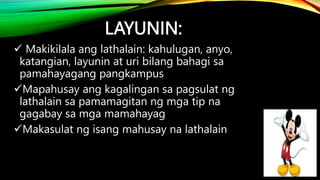 orca_share_media1620815720280_6798193858836480663.pptx