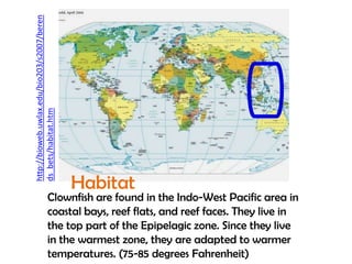 Clown Fish Habitat Maps