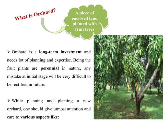 Orchard Establishment.pptx | Agriculture | Industries