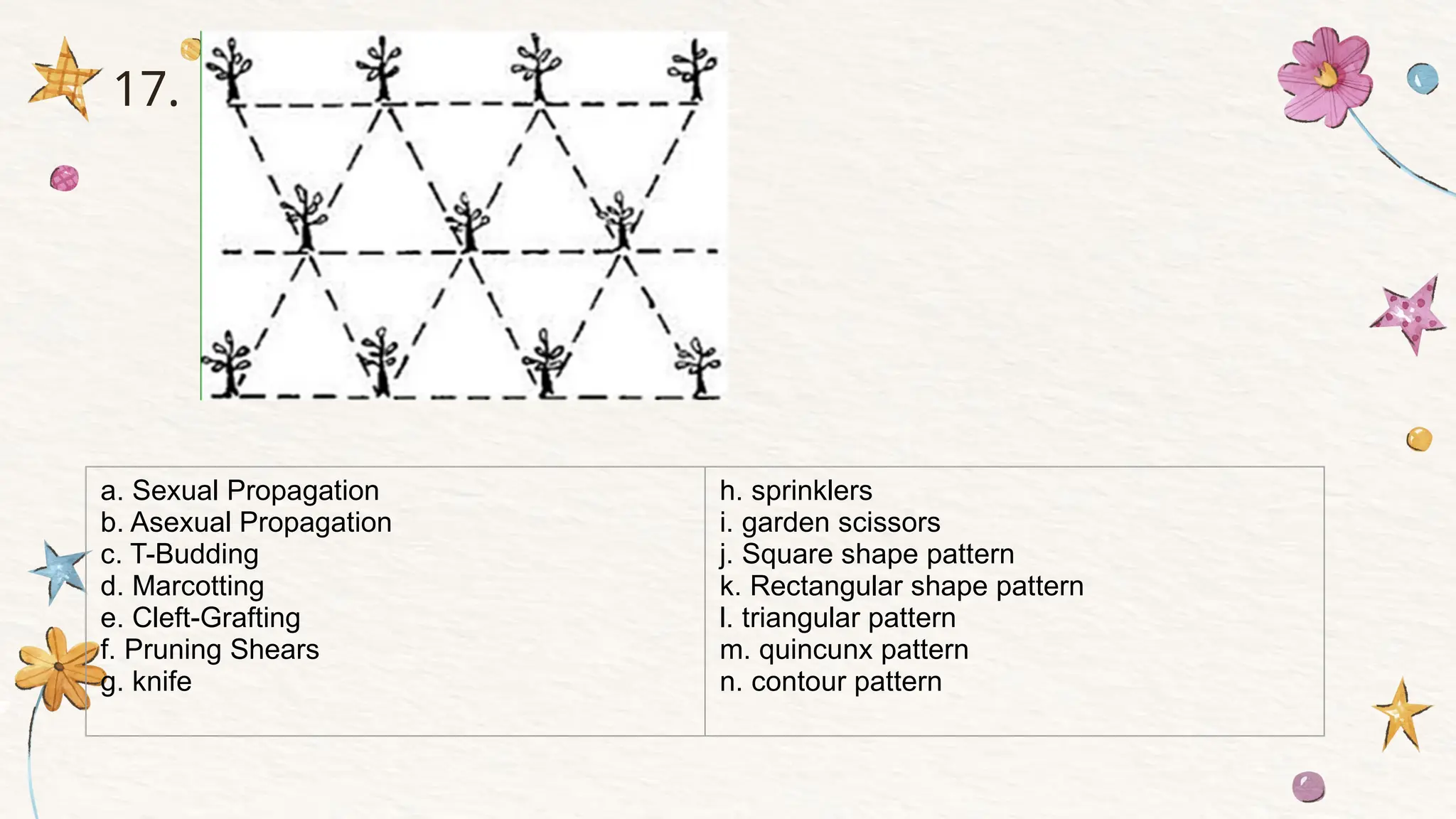LESSON ABOUT TYPES OF ORCHARD LAYOUT.pptx