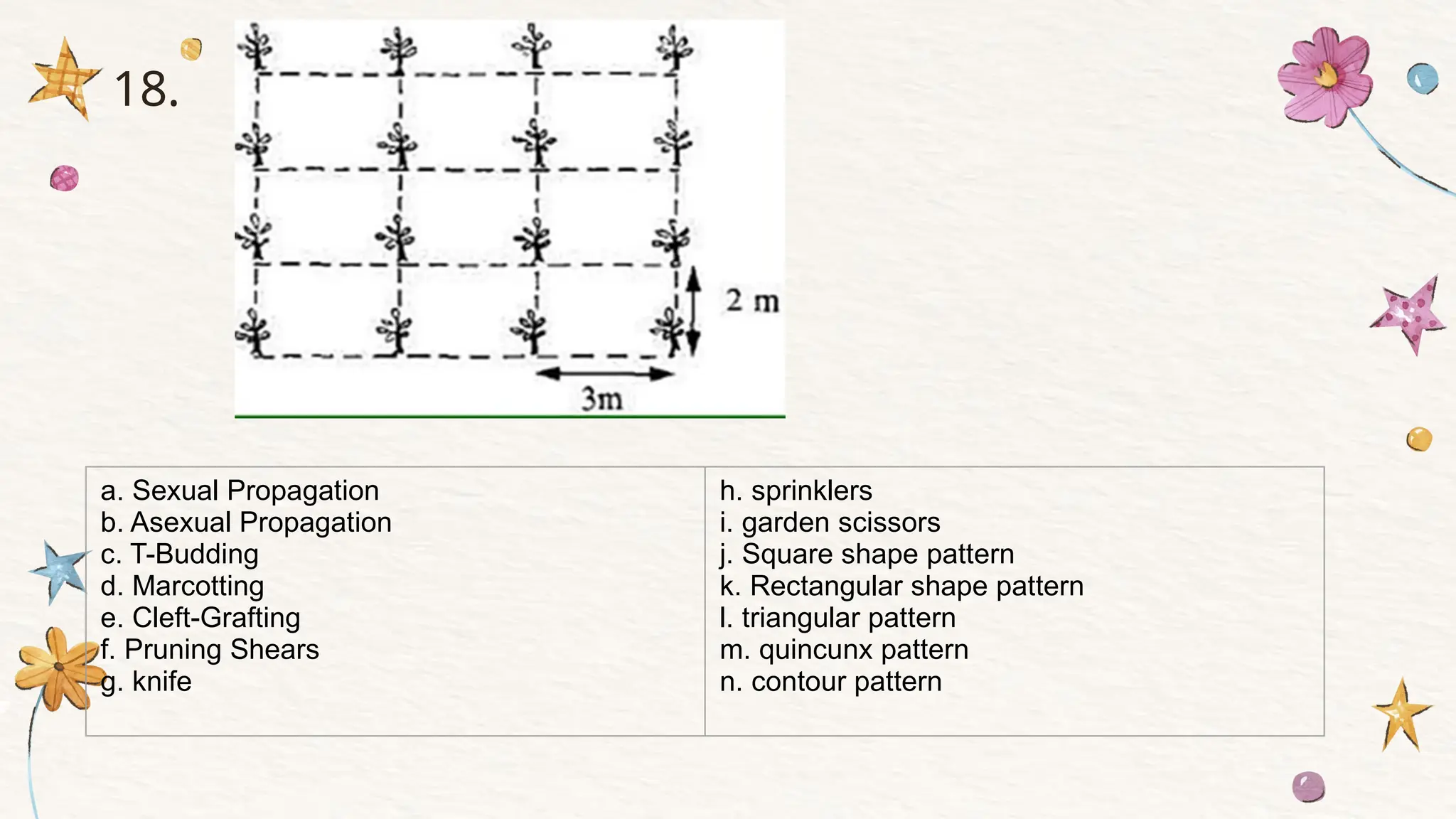 LESSON ABOUT TYPES OF ORCHARD LAYOUT.pptx