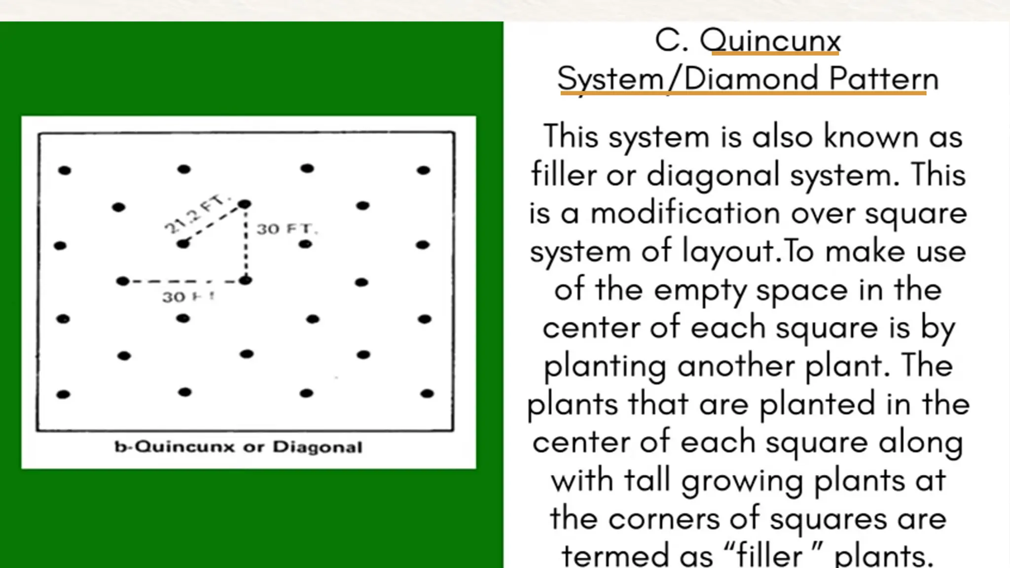 LESSON ABOUT TYPES OF ORCHARD LAYOUT.pptx