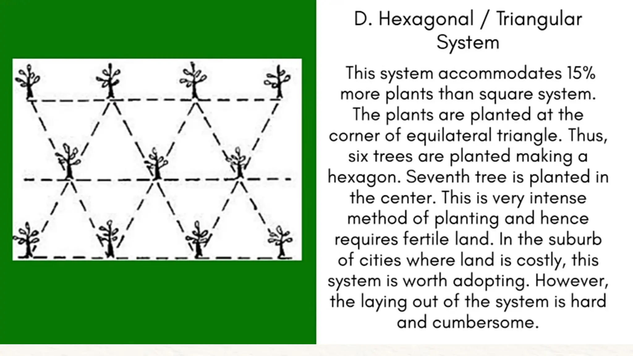 LESSON ABOUT TYPES OF ORCHARD LAYOUT.pptx