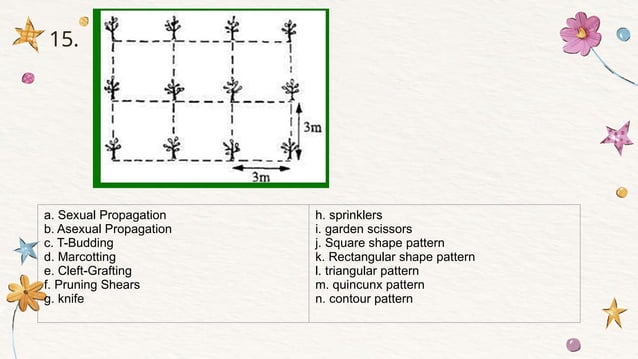 LESSON ABOUT TYPES OF ORCHARD LAYOUT.pptx
