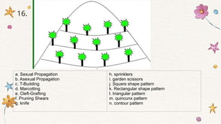 LESSON ABOUT TYPES OF ORCHARD LAYOUT.pptx