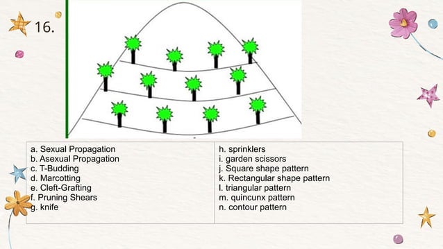 LESSON ABOUT TYPES OF ORCHARD LAYOUT.pptx