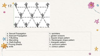 LESSON ABOUT TYPES OF ORCHARD LAYOUT.pptx