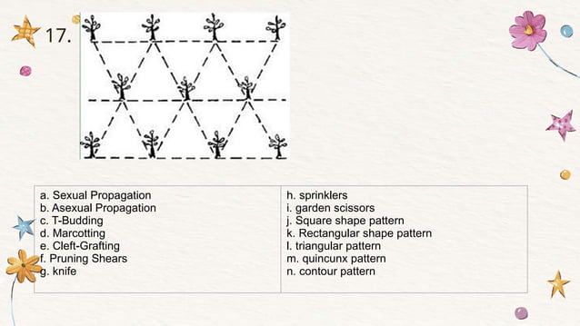 LESSON ABOUT TYPES OF ORCHARD LAYOUT.pptx