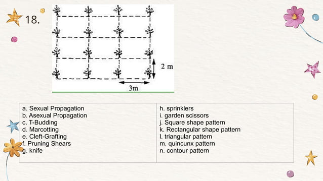 LESSON ABOUT TYPES OF ORCHARD LAYOUT.pptx