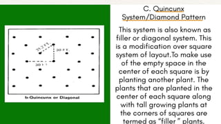 LESSON ABOUT TYPES OF ORCHARD LAYOUT.pptx