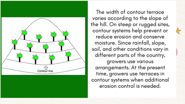 LESSON ABOUT TYPES OF ORCHARD LAYOUT.pptx