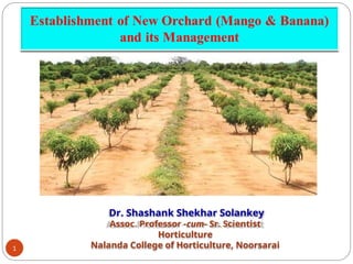 Establishment of New Orchard (Mango & Banana) and its Management | PPT