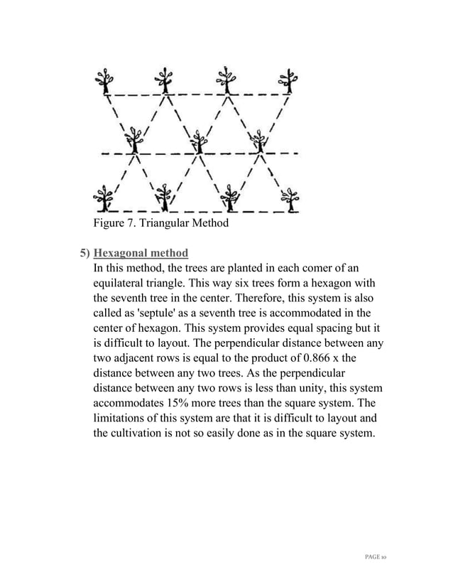 ORCHARD MANAGMENT | PDF | Agriculture | Industries