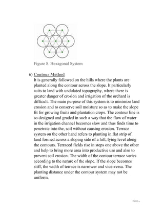 ORCHARD MANAGMENT | PDF