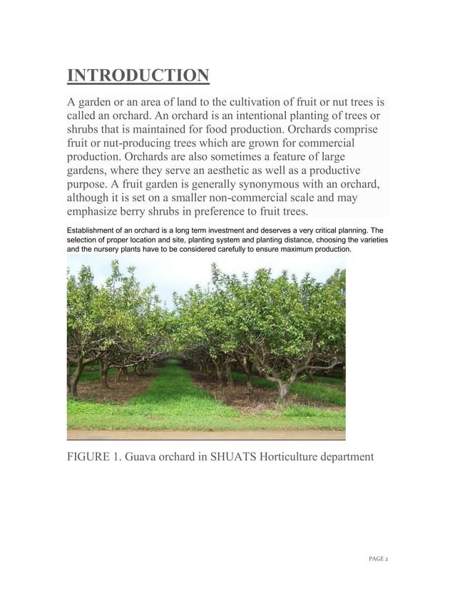 ORCHARD MANAGMENT | PDF | Agriculture | Industries