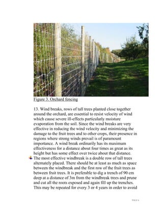 ORCHARD MANAGMENT | PDF