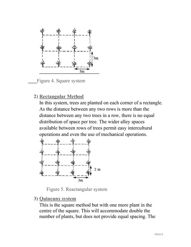 ORCHARD MANAGMENT | PDF | Agriculture | Industries