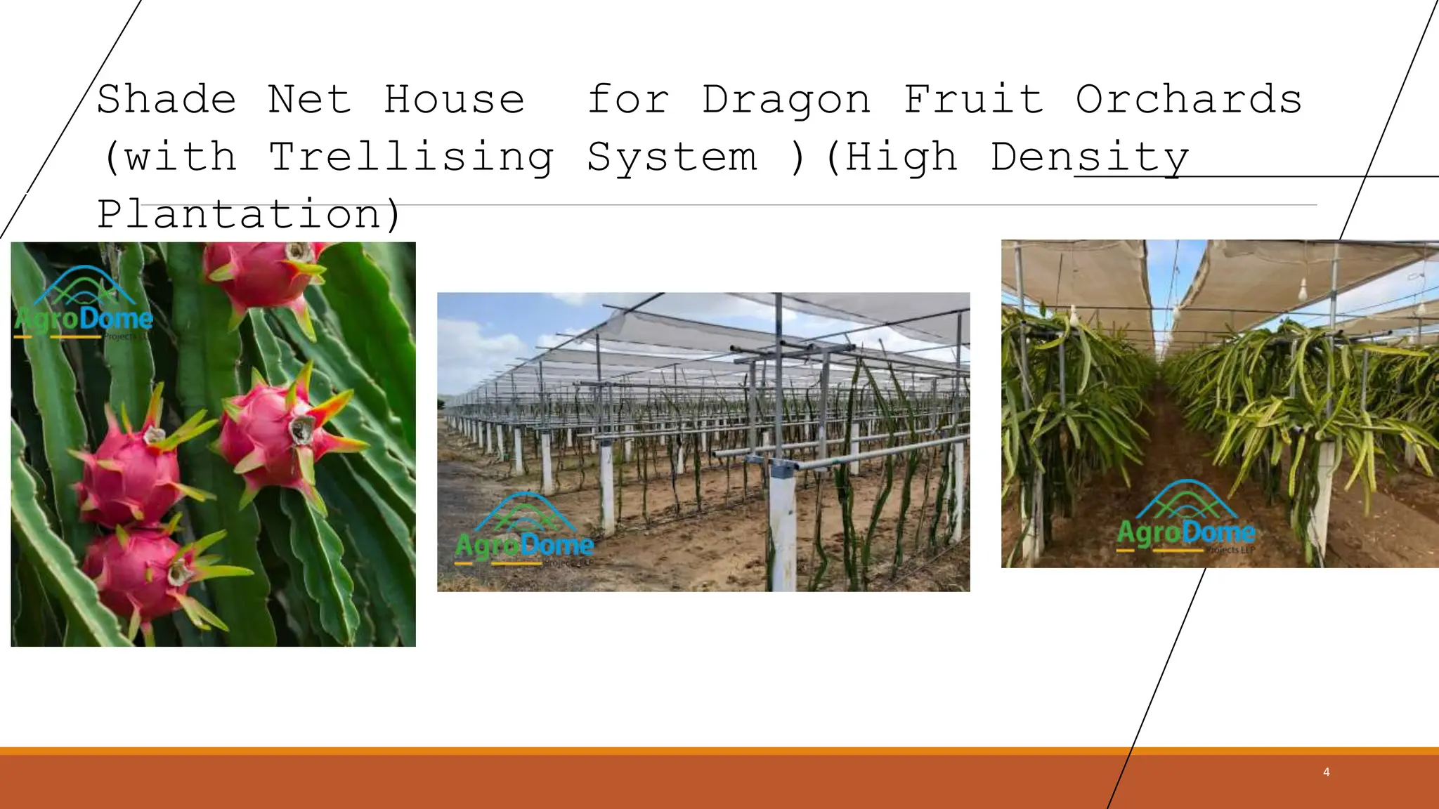 Orchard structured agriculture greenhouse.pptx