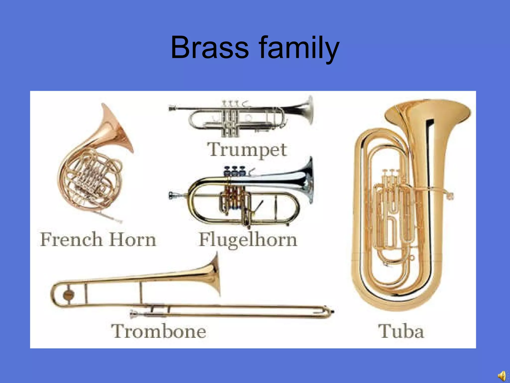 Some of the instruments of the orchestra | PPT