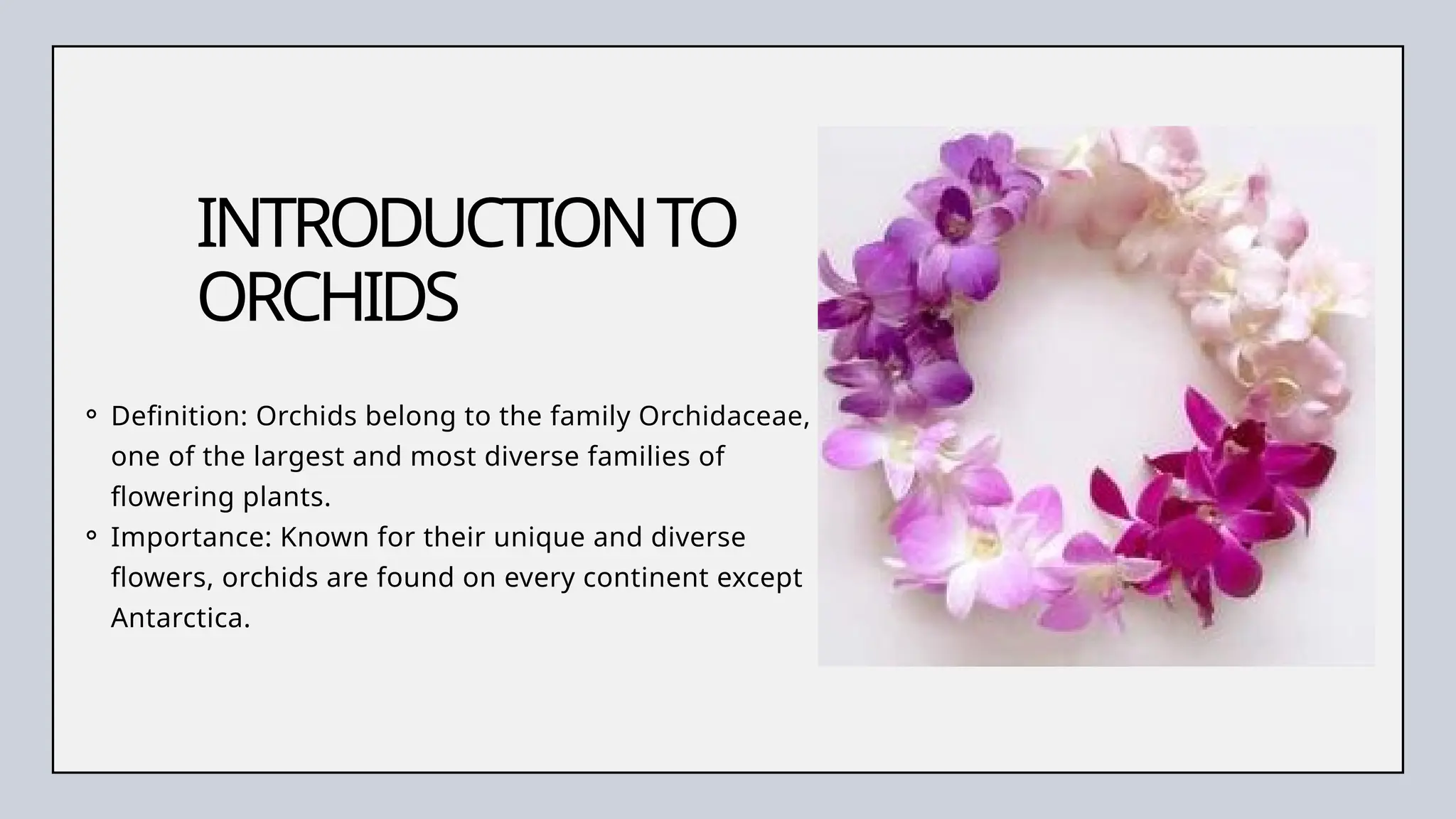 "Orchids: The Art and Science of Nature's Exquisite Blooms" | PPTX