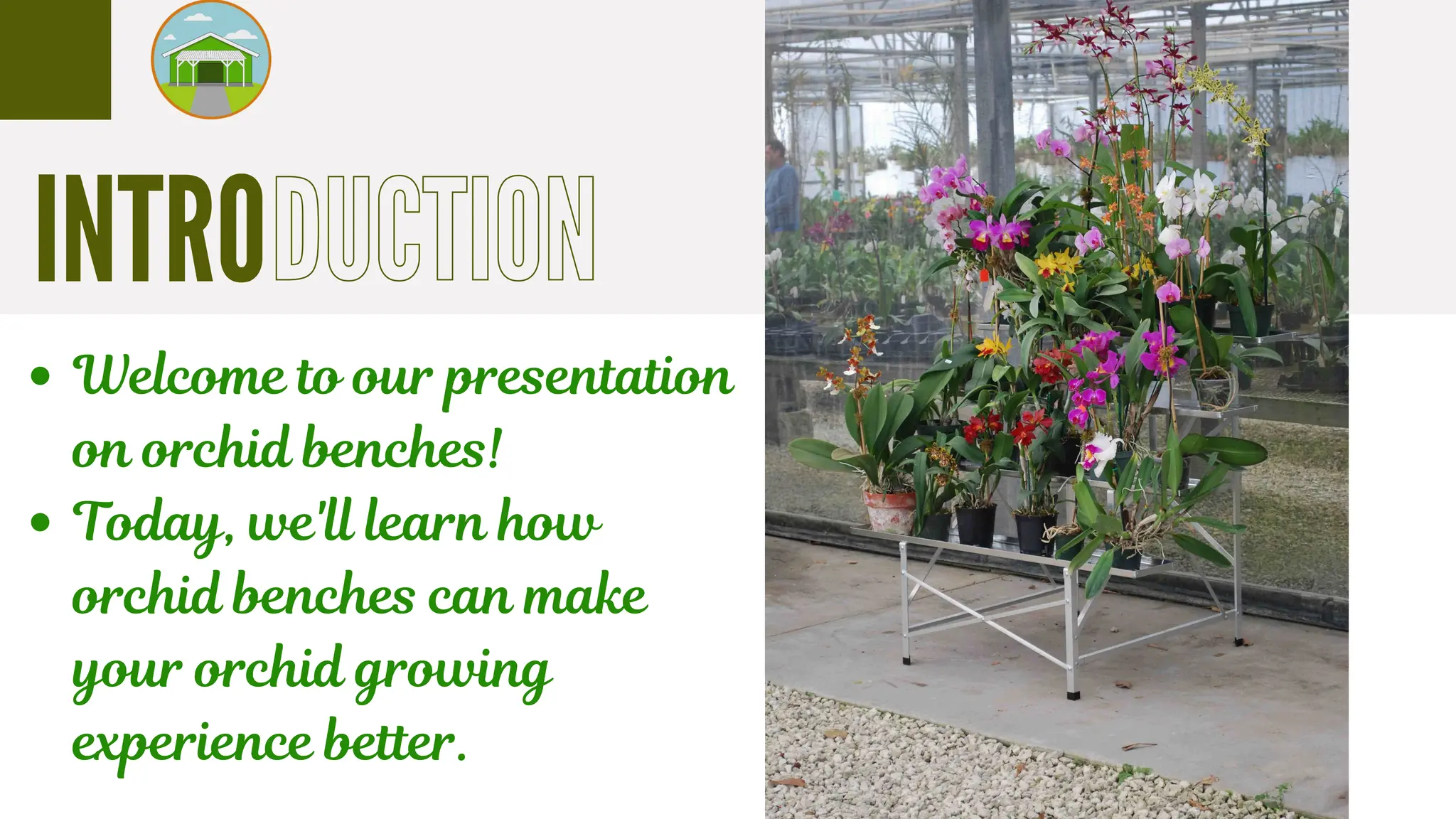 Orchid Bench: Elevate Your Orchid Growing Game! | PPT
