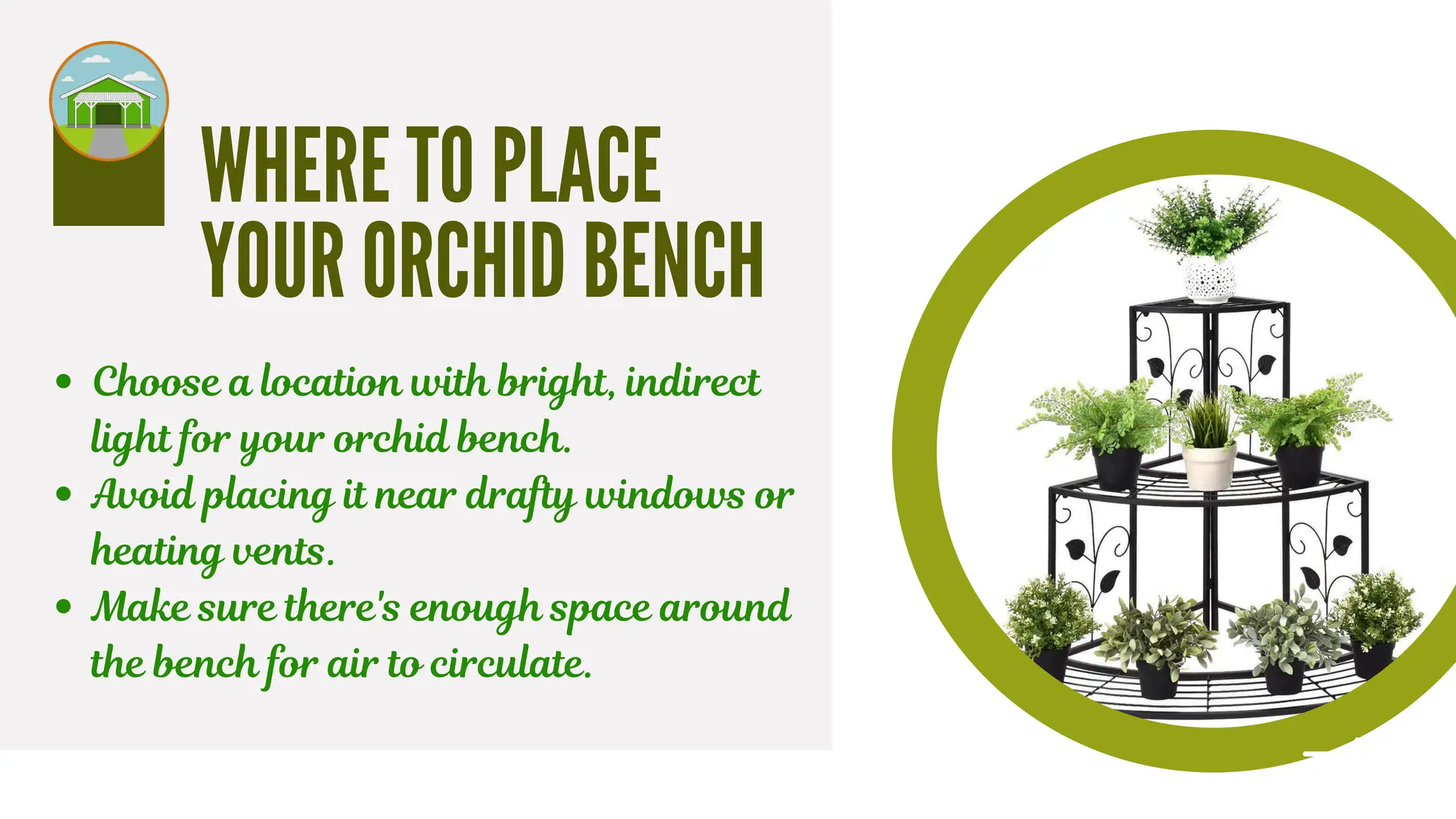 Orchid Bench: Elevate Your Orchid Growing Game! | PPT